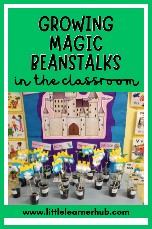Growing Magic Beanstalks in the Classroom